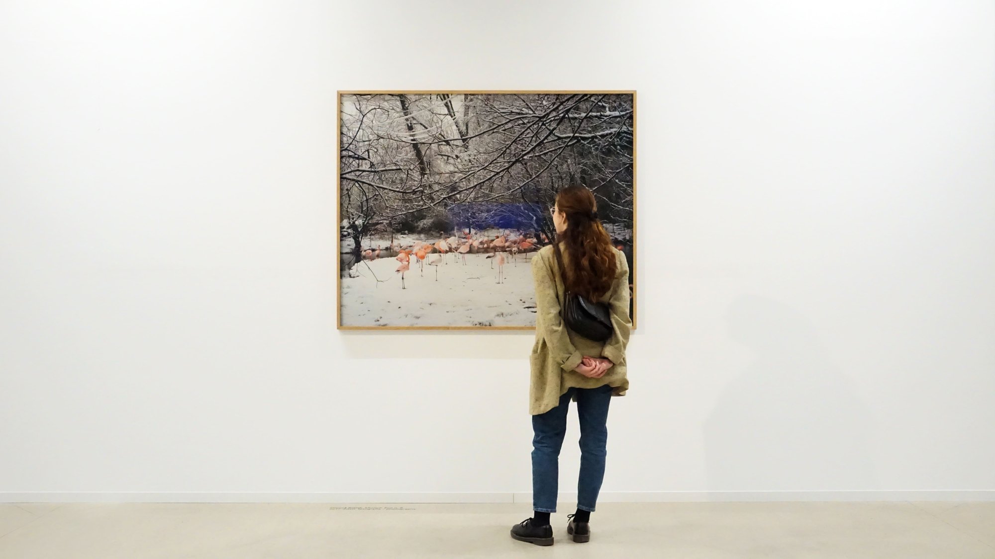 Top fotografie – Brave World | Telegraph Olomouc